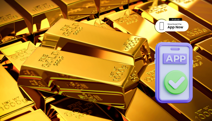 Applications to Detect Gold and Metals - Daily Portal